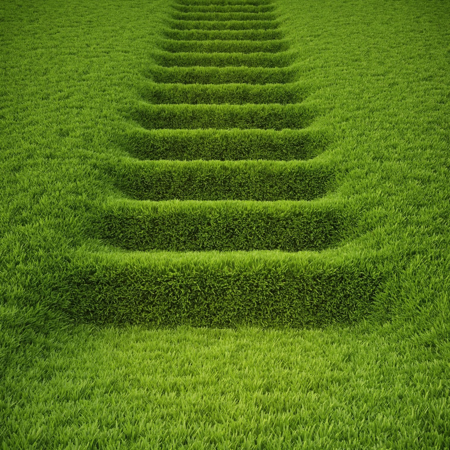 Green Steps | Mlaure's place for family and friends