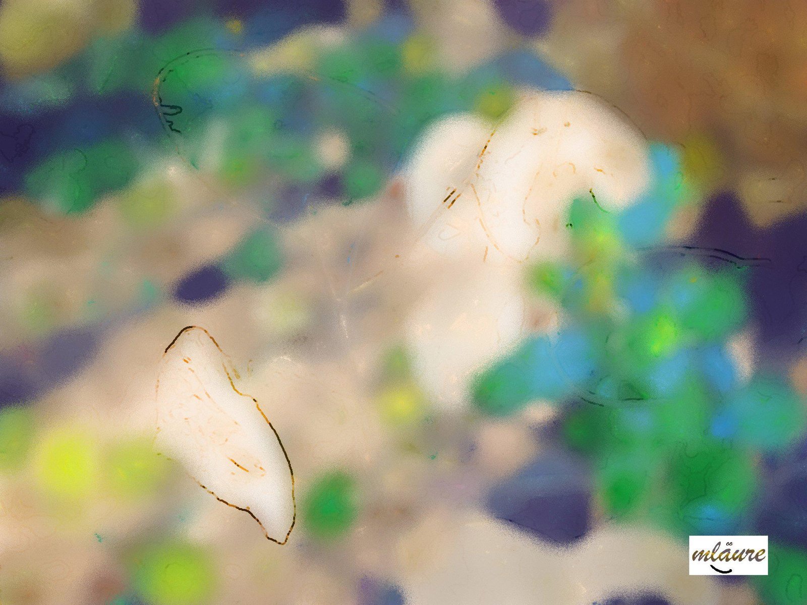 Mlaure A Place For Family And Friends Gallery